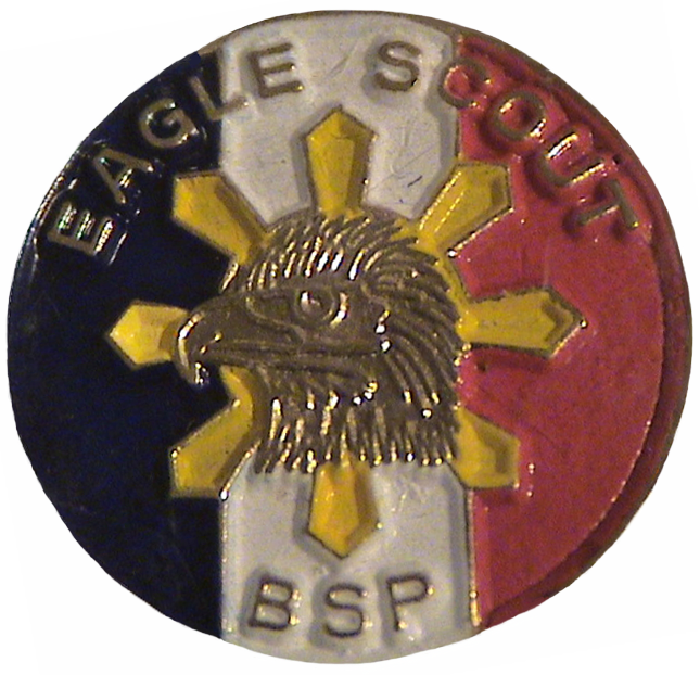 Eagle Scout Pins